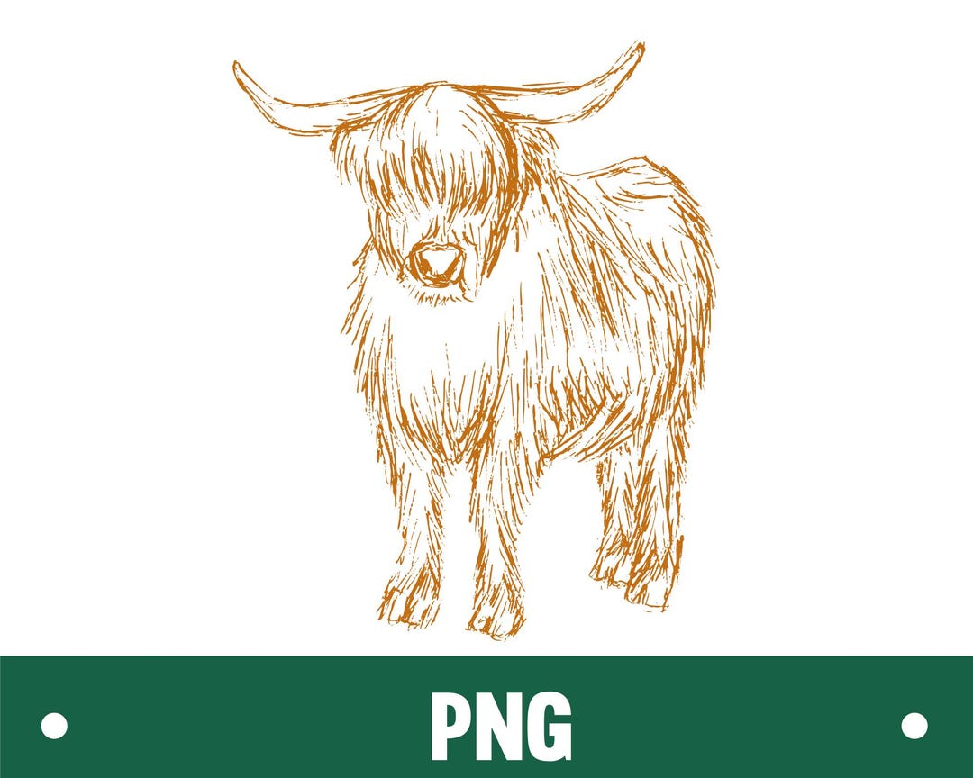 Hand Drawn Cow Png, Heifer Cow Png Designs, Heifer Cow Png, Sublimation ...