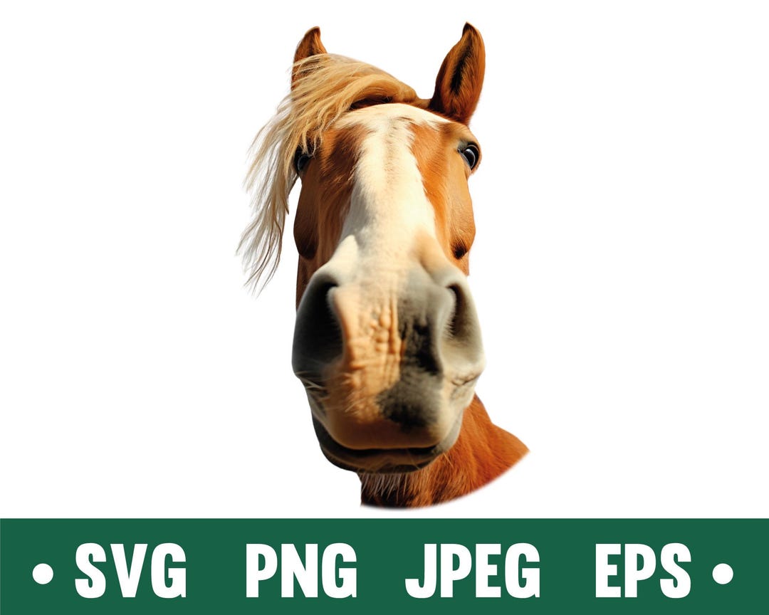 Cute Horse Neigh Horse Riding SVG, Funny Horse Watercolor Clipart ...