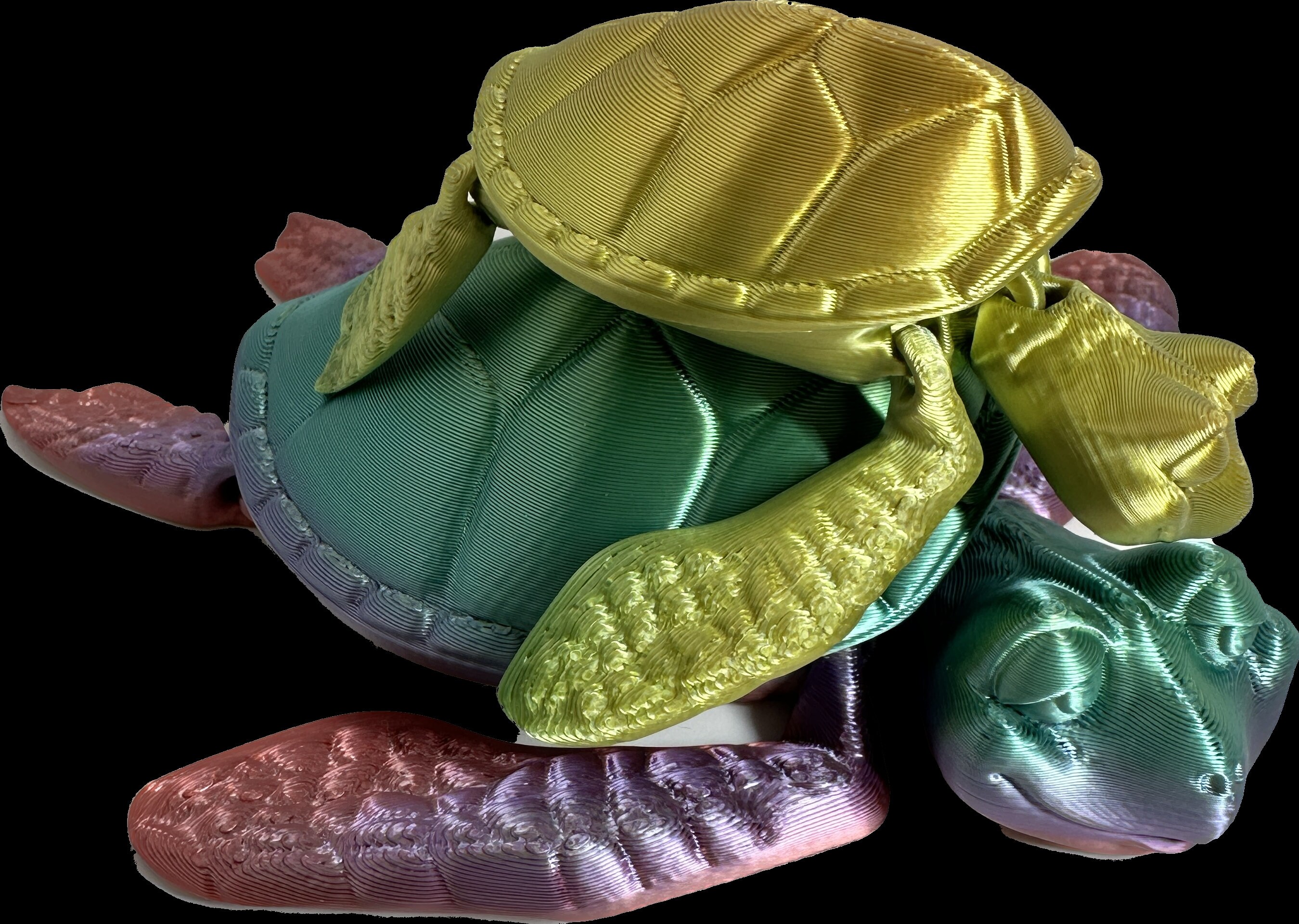 Articulated Turtle, Flexible Turtle Toy, Flexi Factory Authorized ...