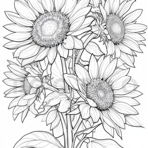 100 Botanical Flowers Coloring Book, Adults and Kids Colouring Books ...