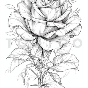 100 Botanical Flowers Coloring Book, Adults and Kids Colouring Books ...