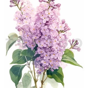 100 Botanical Flowers Coloring Book, Adults and Kids Colouring Books ...