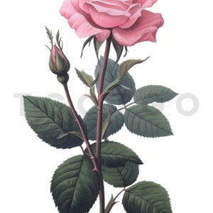100 Botanical Flowers Coloring Book, Adults and Kids Colouring Books ...