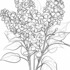 100 Botanical Flowers Coloring Book, Adults and Kids Colouring Books ...
