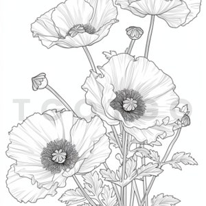 100 Botanical Flowers Coloring Book, Adults and Kids Colouring Books ...
