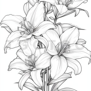 100 Botanical Flowers Coloring Book, Adults and Kids Colouring Books ...