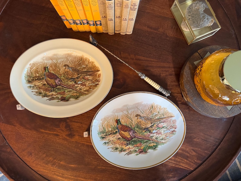 Pheasant & Grouse Decorative Plates - Etsy