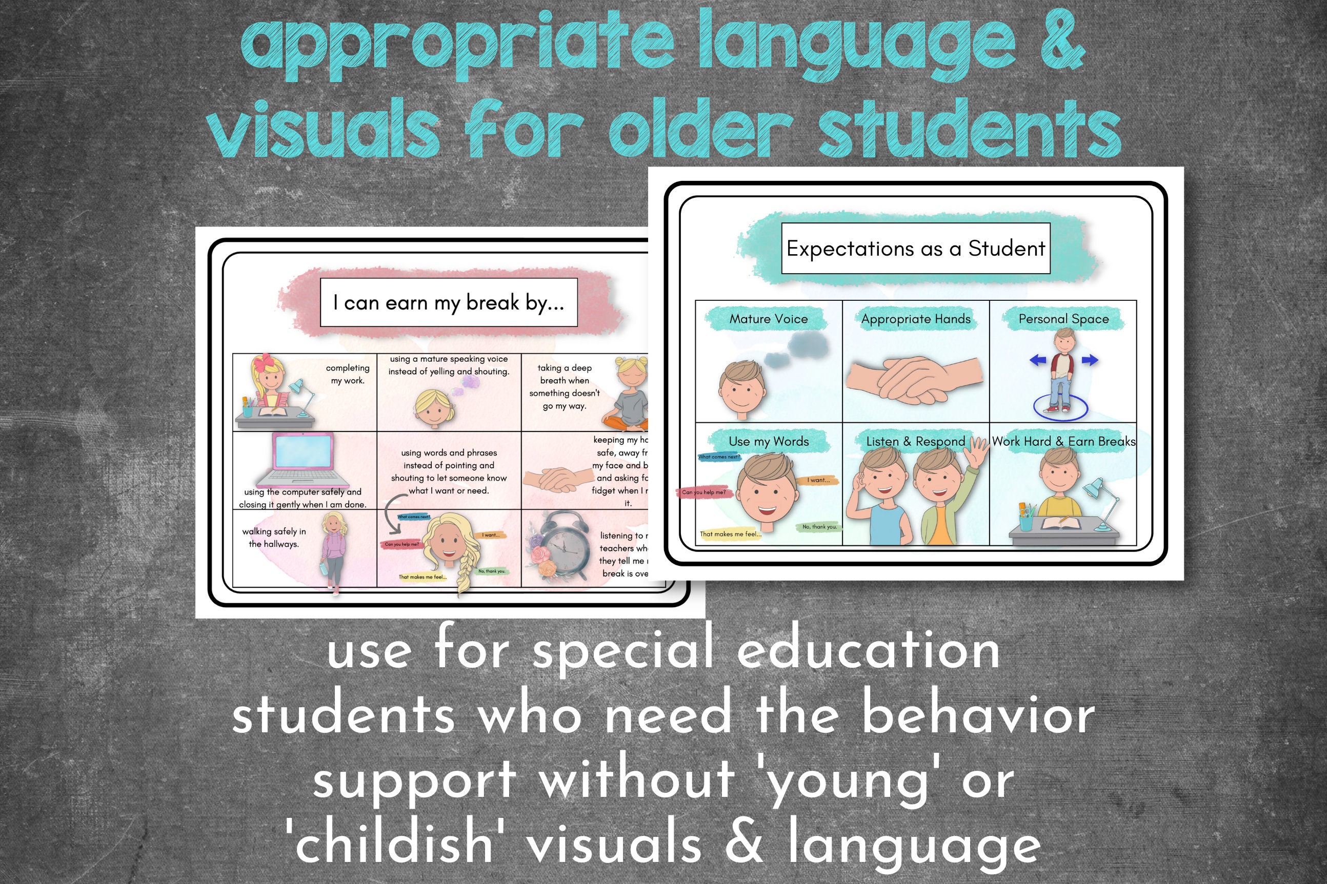 Classroom Behavior Expectation Board, Special Education Classroom ...