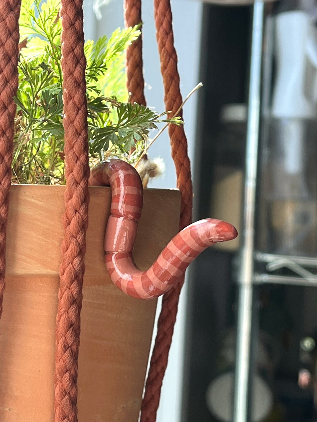 Earthworm Pot Pal Plant Pot Accessory - Etsy