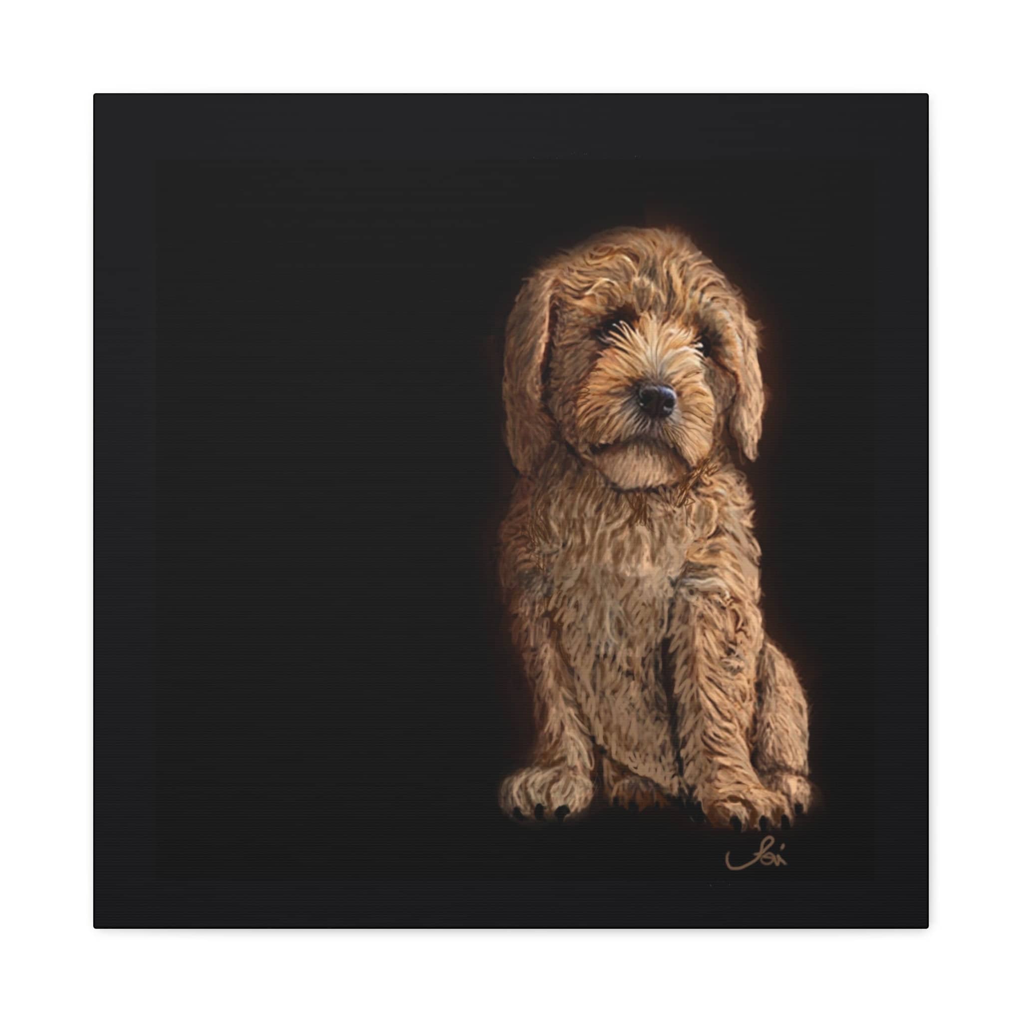 Golden Doodle Picture Golden Doodle Drawing Brown Golden Doodle Gallery ...