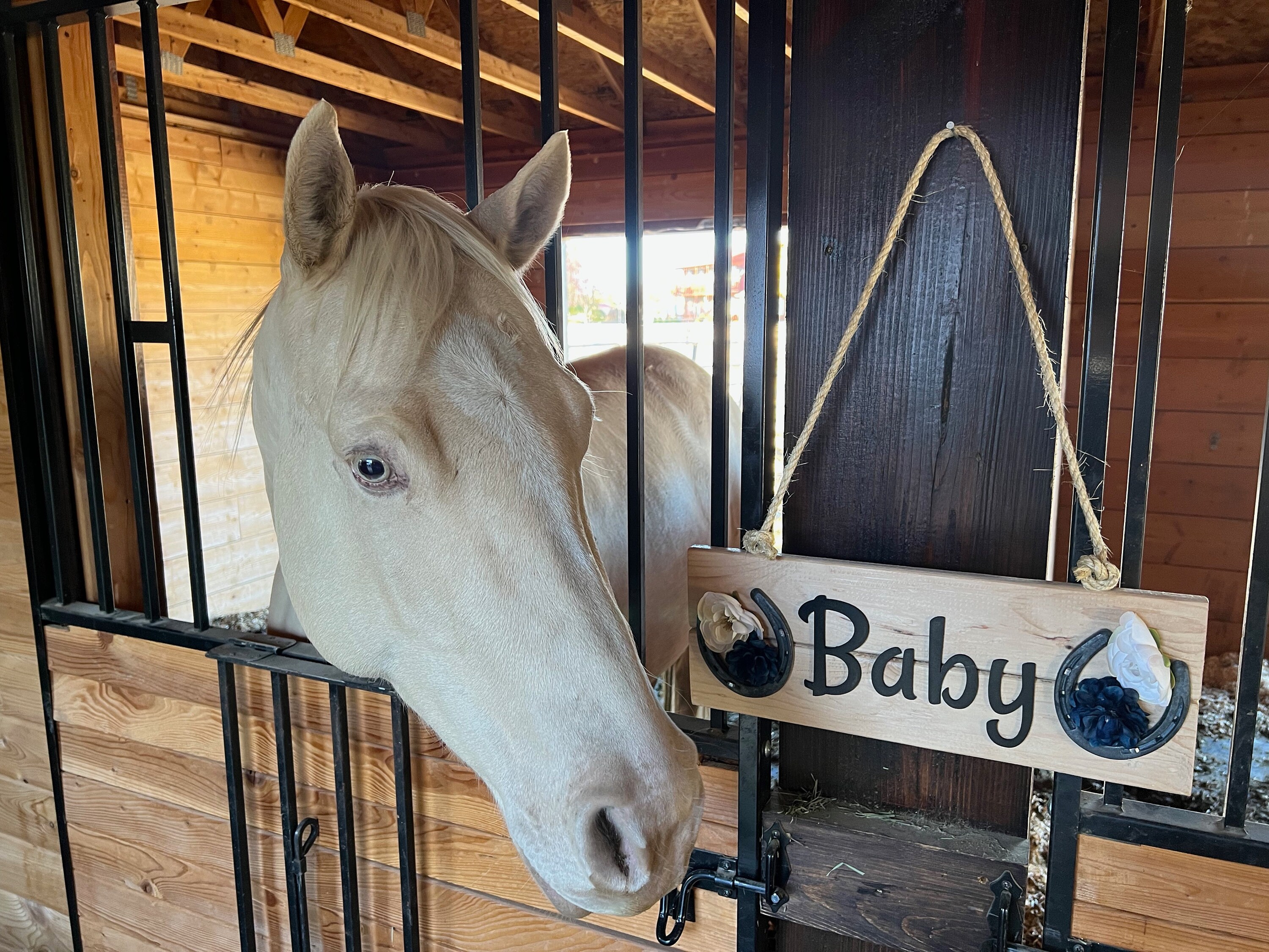 Horse Stall Name Plate, Horse Stall Sign, Rustic Wood Sign, Horseshoe ...