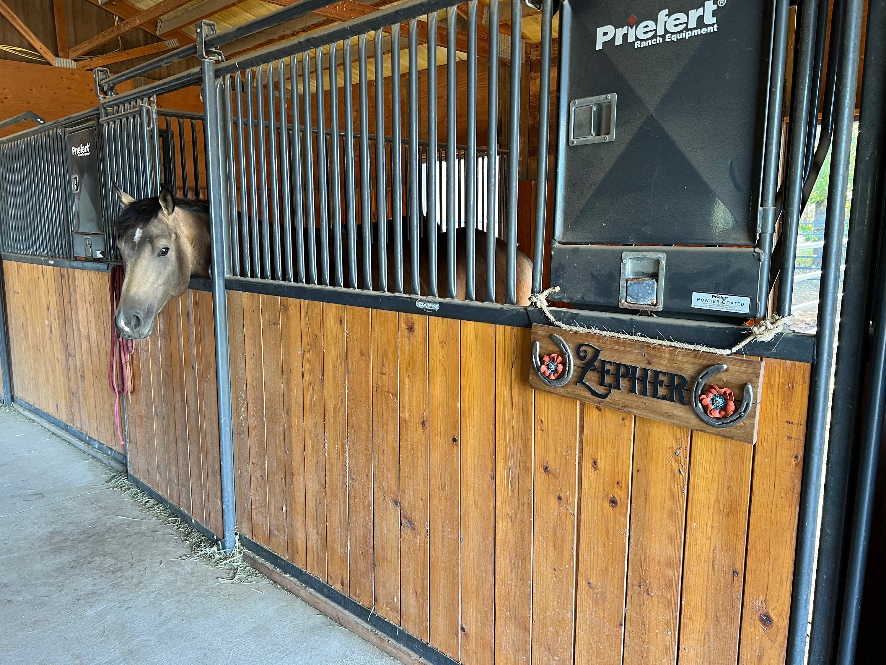 Horse Stall Name Plate, Horse Stall Sign, Rustic Wood Sign, Horseshoe ...