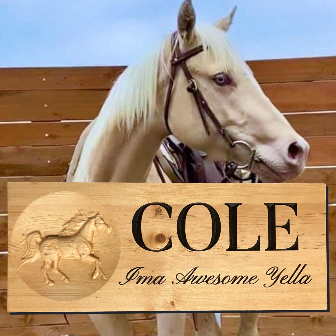Custom Horse Stall Sign, Horse Barn Decor, Rustic Wood Sign, Engraved ...