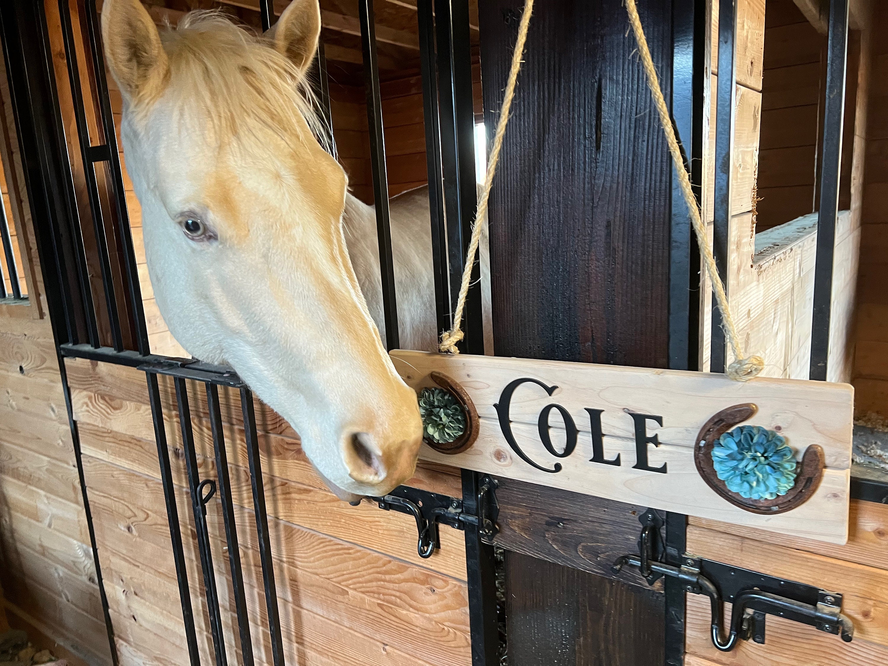 Horse Stall Name Plate, Horse Stall Sign, Rustic Wood Sign, Horseshoe ...