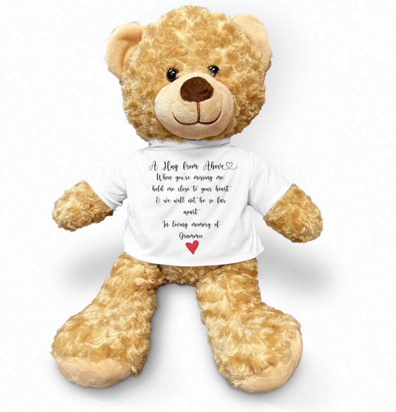A Hug From Above Personalized Teddy Bear, Memorial Gift for Loss of ...