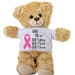 Teddy Bear Gift, Breast Cancer Gift, Fight Cancer, Plush Stuffed Bear ...