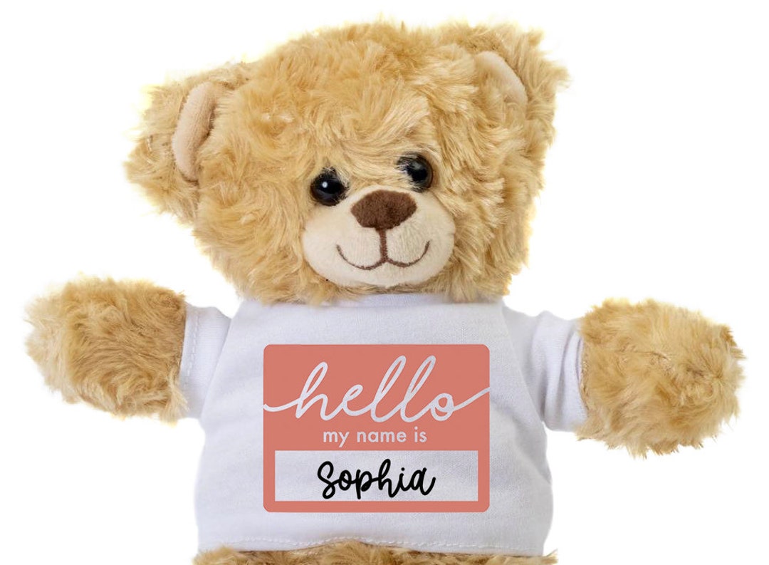 Custom Teddy Bear, Baby Gift, Name Tag, Personalized Custom Plush ...