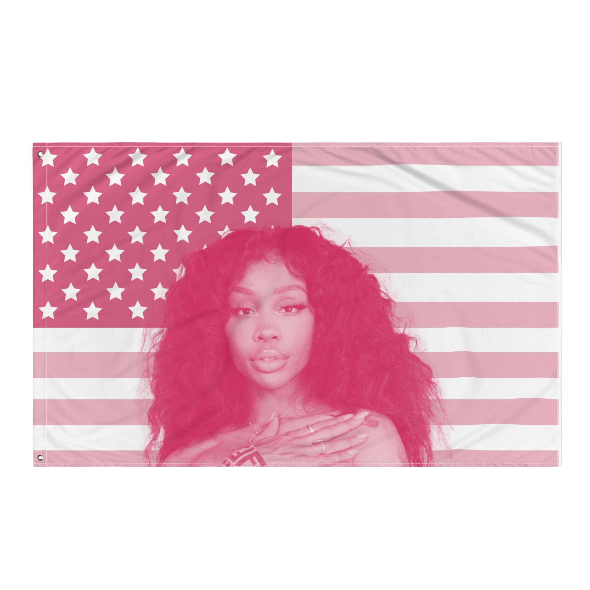 Sza Pink American Flag, Large Sza Pink Flag, Sza Fan Funny Gift, 34.5 H ...