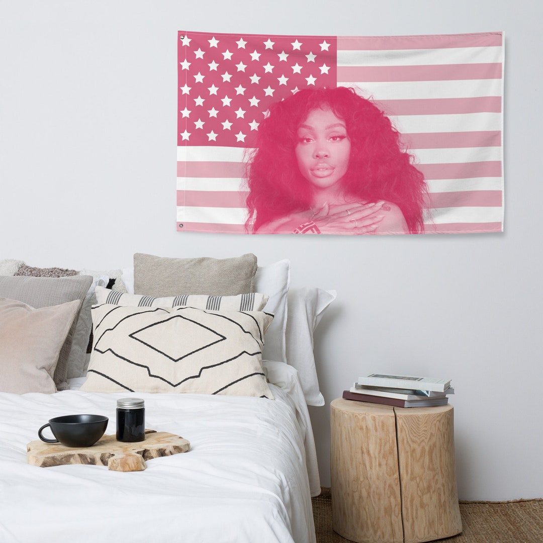 Sza Pink American Flag, Large Sza Pink Flag, Sza Fan Funny Gift, 34.5 H ...