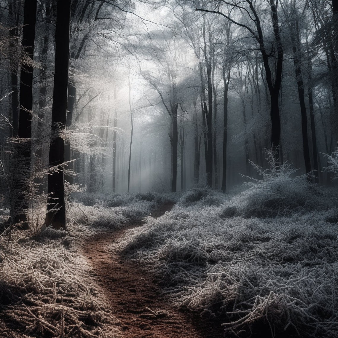 Solitude in Sorrow: Winter Forest Desolation - Etsy