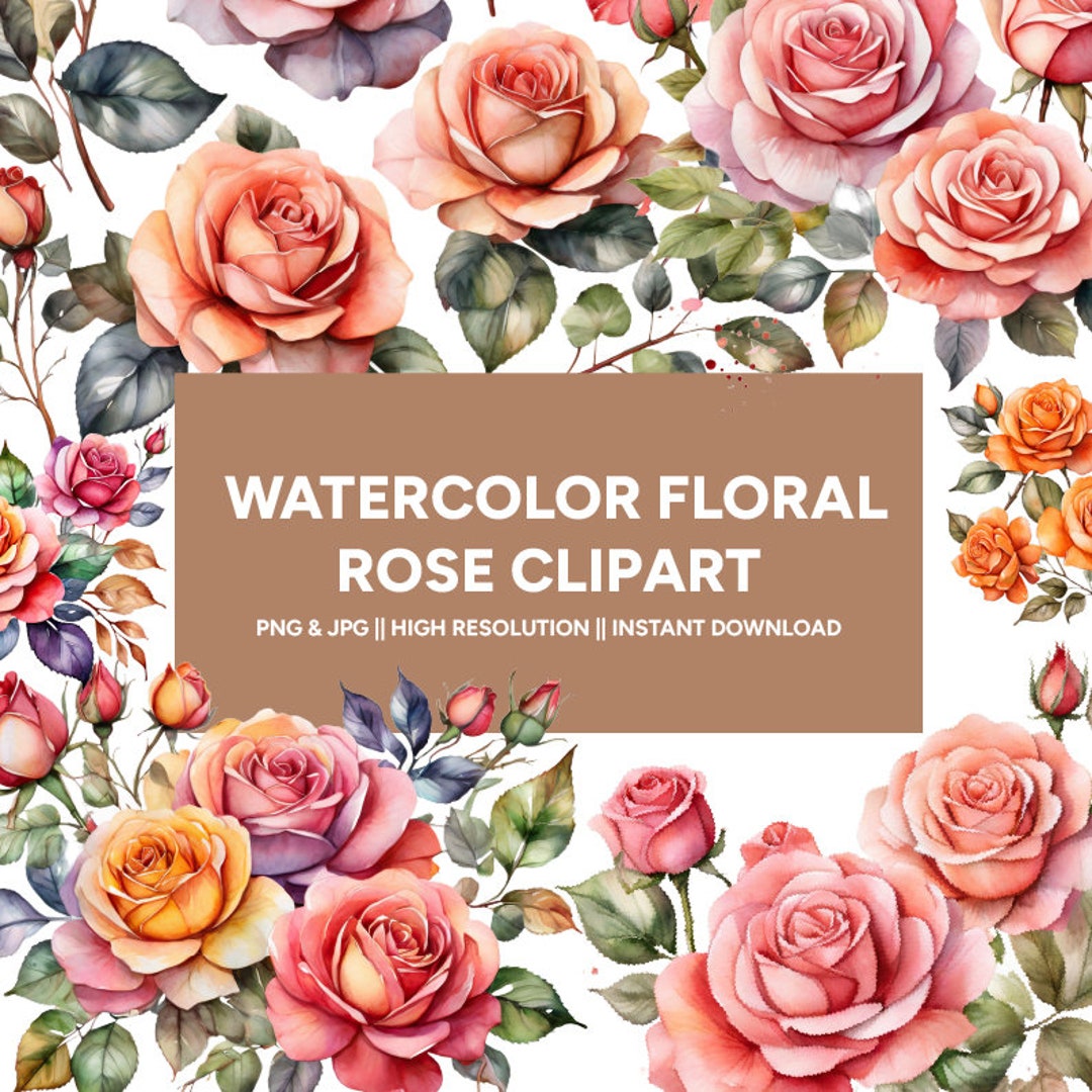 Watercolor Floral Rose Clipart Collection: Charming Illustrations Are ...
