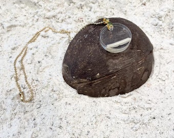 Authentic Cownose Stingray Teeth Necklace - Handmade - Etsy