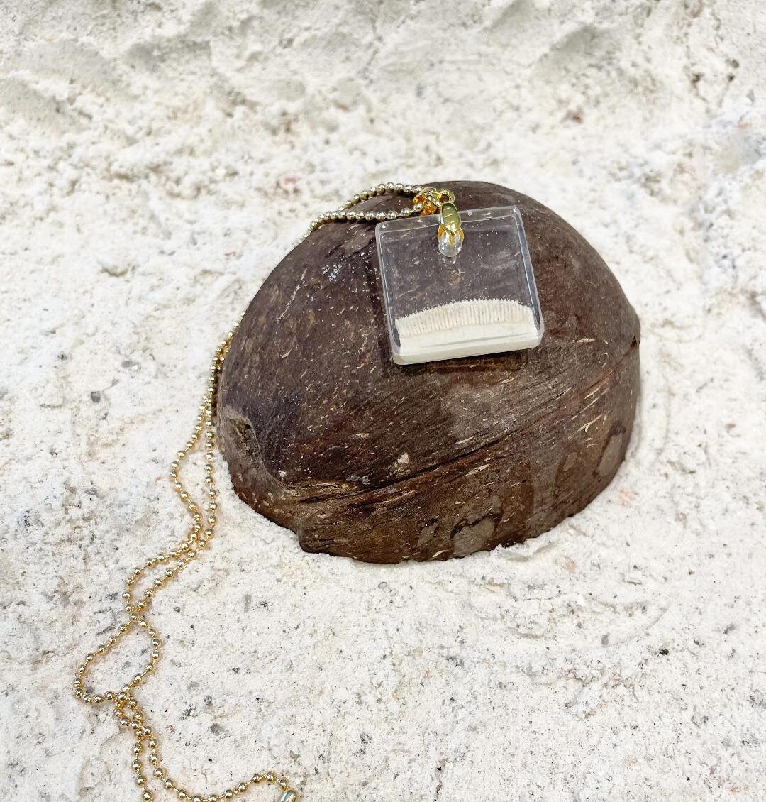 Authentic Spotted Eagle Nose Ray Stingray Teeth Necklace - Handmade - Etsy