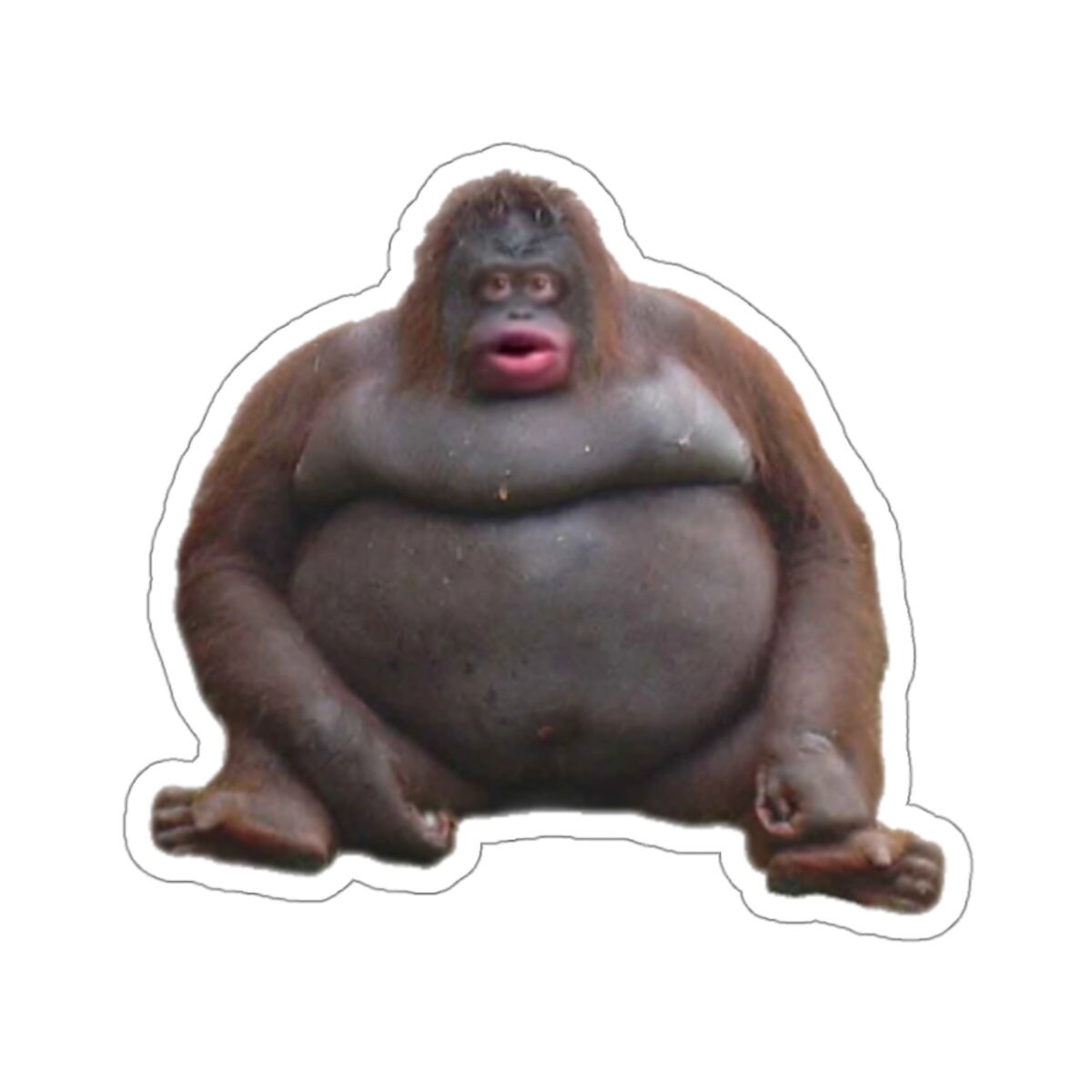 Uh Oh Emoticon