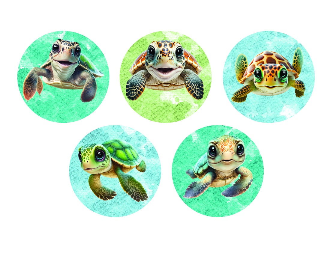 Incredibly Detailed Sea Turtles Pinback Buttons Magnets Key - Etsy