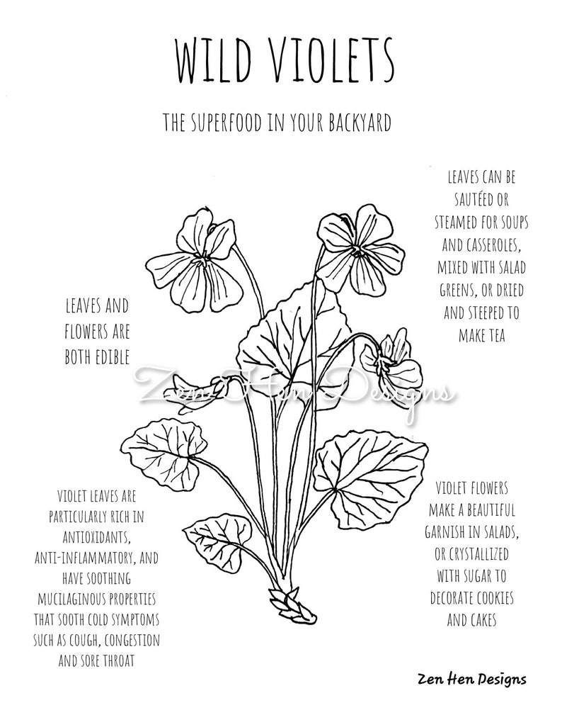 WILD FLOWERS COLORING Page, Hand Drawn Color Your Own Page, Digital ...