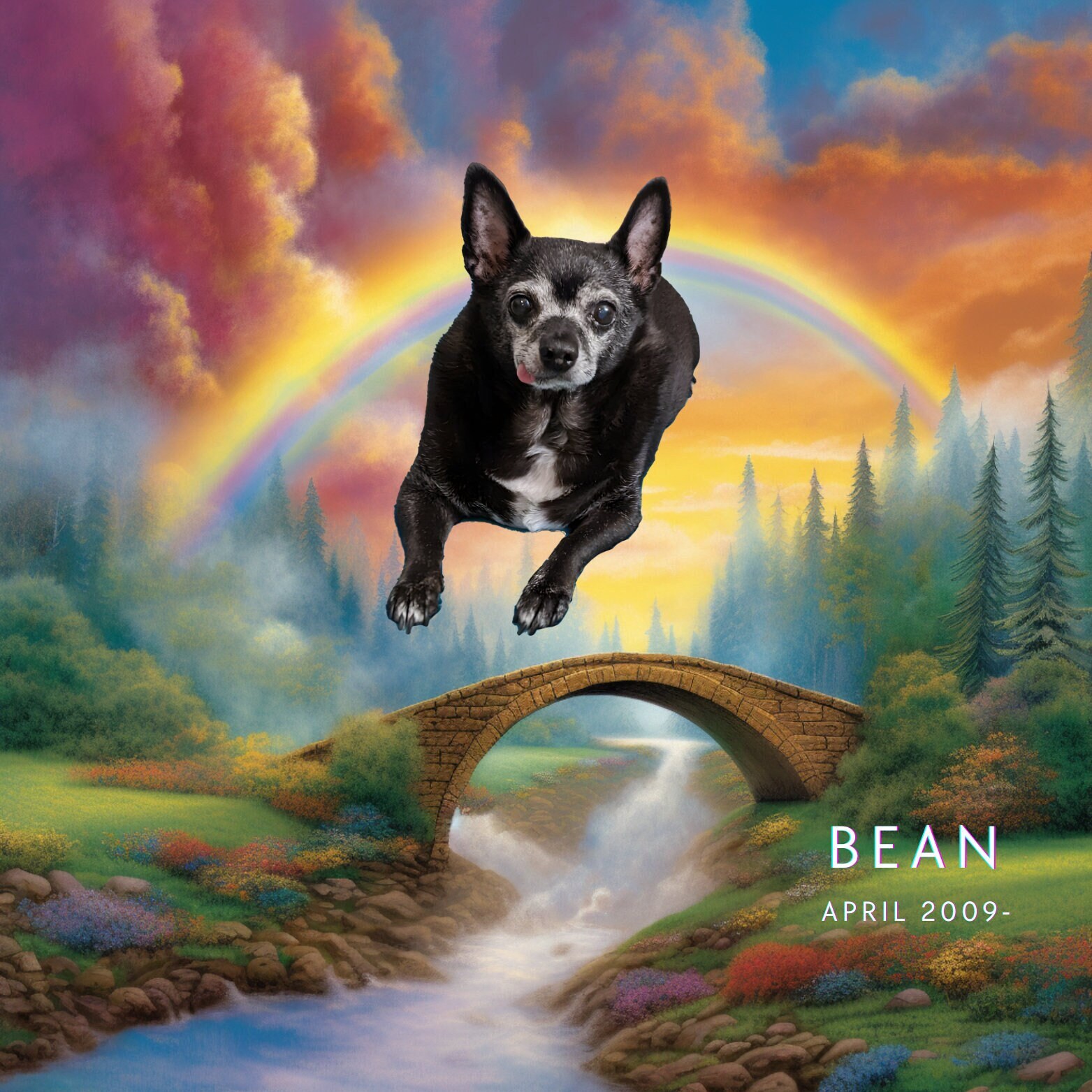 Custom Pet Memorial Portrait | Rainbow Bridge Background | Personalized ...