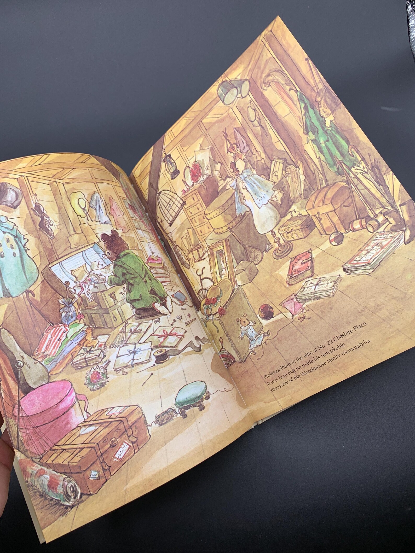 A Mouse Family Album by Pamela Sampson - 1981 Stated Second Printing ...