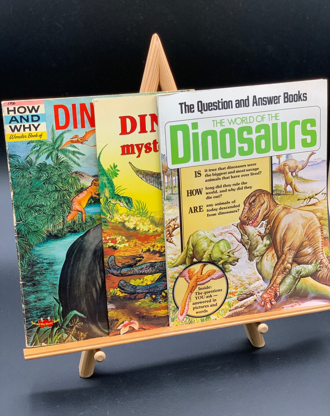 Vintage 1970s/ 1980s Dinosaur Softcover Book Lot of 3: How & Why ...