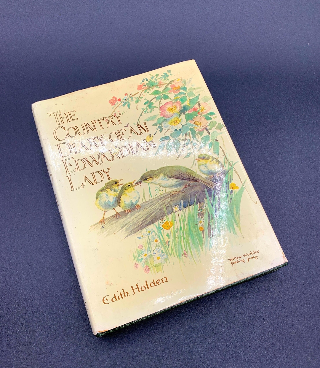 The Country Diary of an Edwardian Lady by Edith Holden - 1977 Hardcover ...