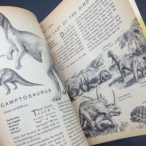Vintage 1970s/ 1980s Dinosaur Softcover Book Lot of 3: How & Why ...
