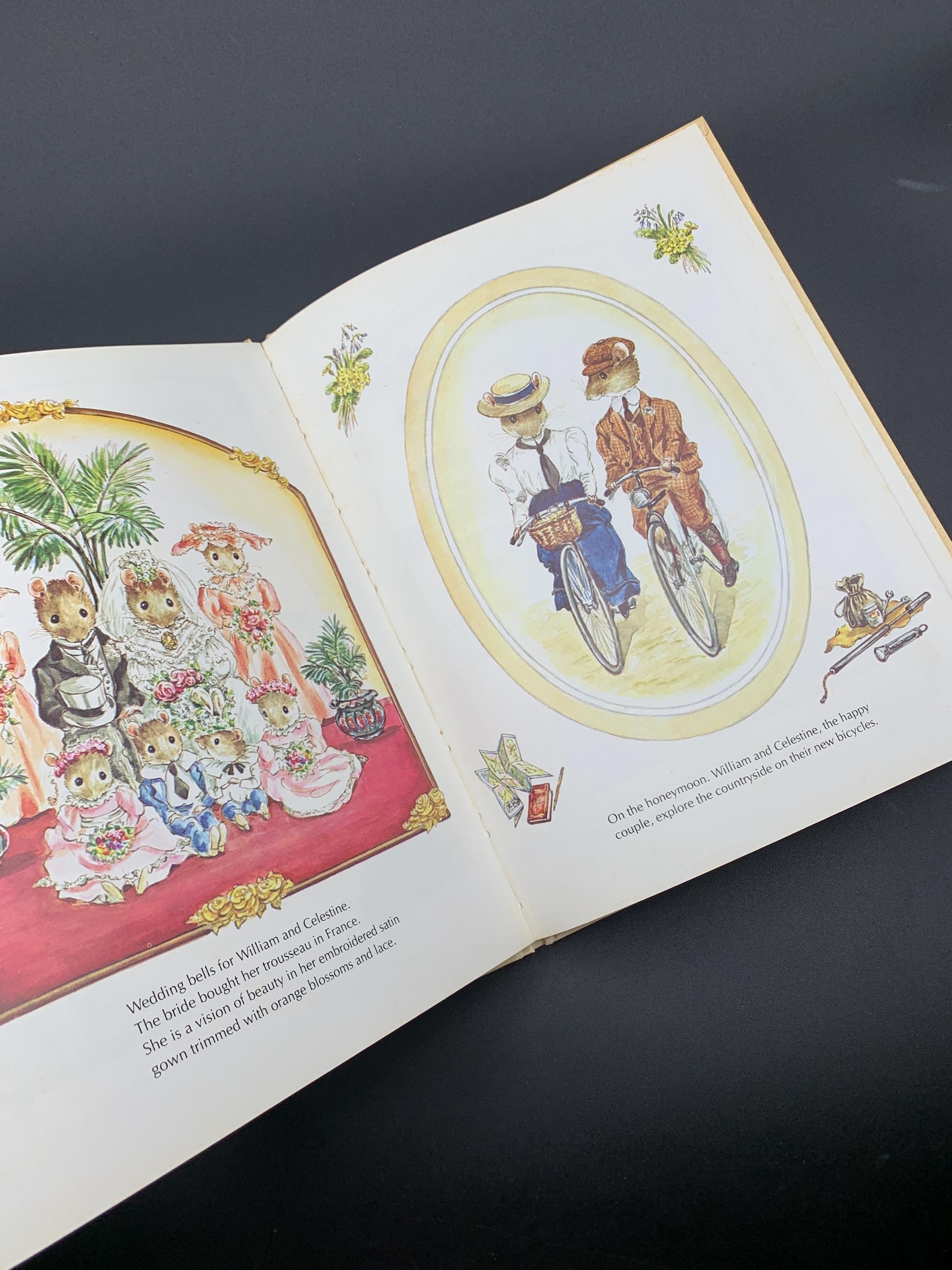 A Mouse Family Album by Pamela Sampson - 1981 Stated Second Printing ...