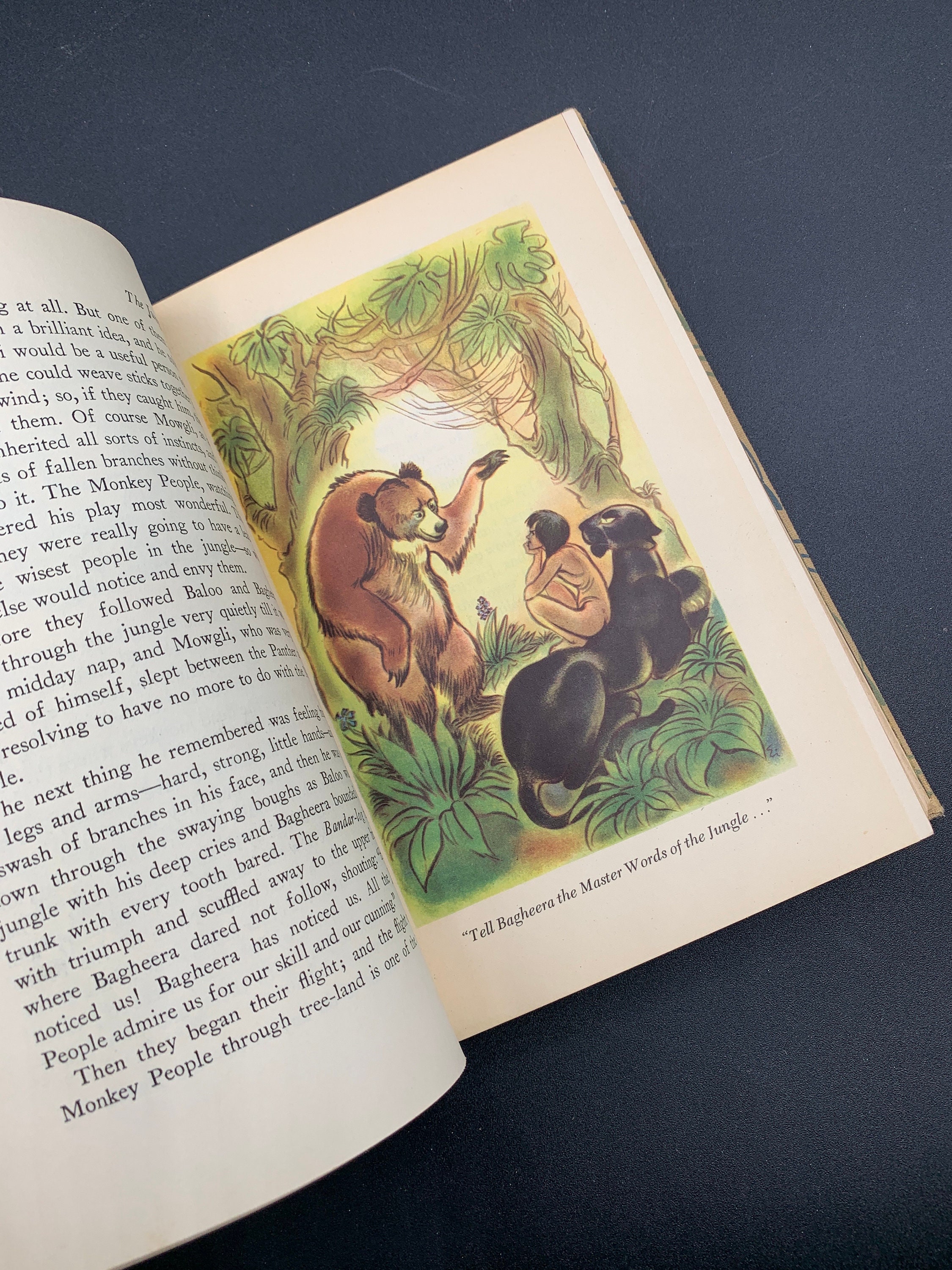 The Jungle Book by Rudyard Kipling 1950 Illustrated Junior Library ...