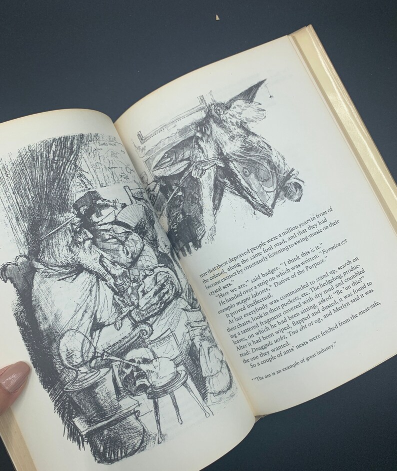 The Book of Merlyn by T.H. White Illustrated by Trevor Stubley - Etsy