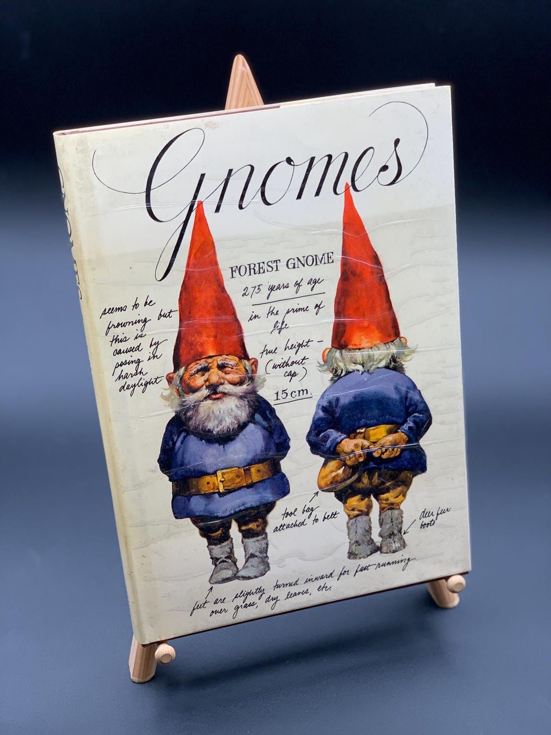 Gnomes by Wil Huygen Illustrated Rien Poortvliet - 1977 (first Edition ...
