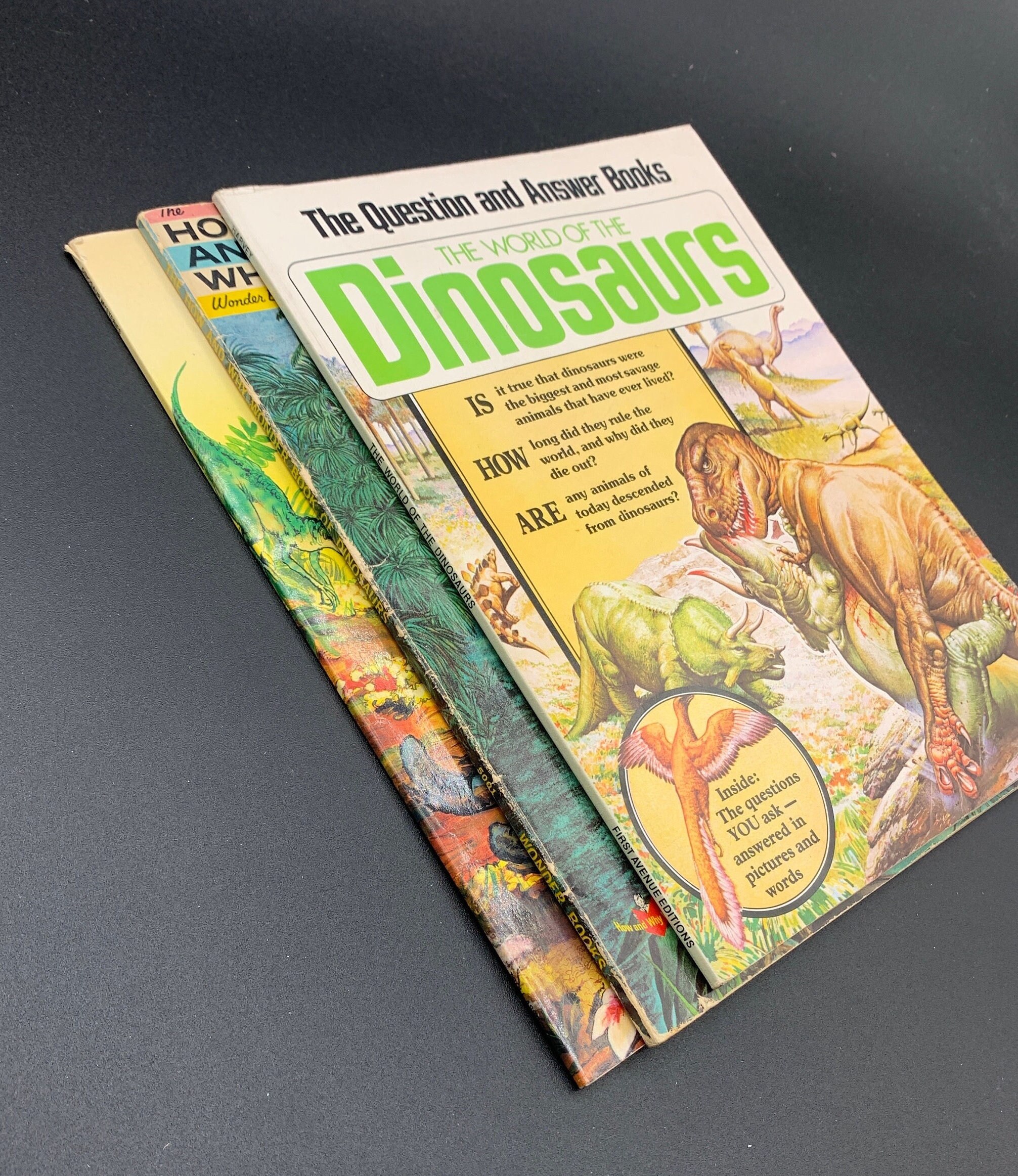 Vintage 1970s/ 1980s Dinosaur Softcover Book Lot of 3: How & Why ...