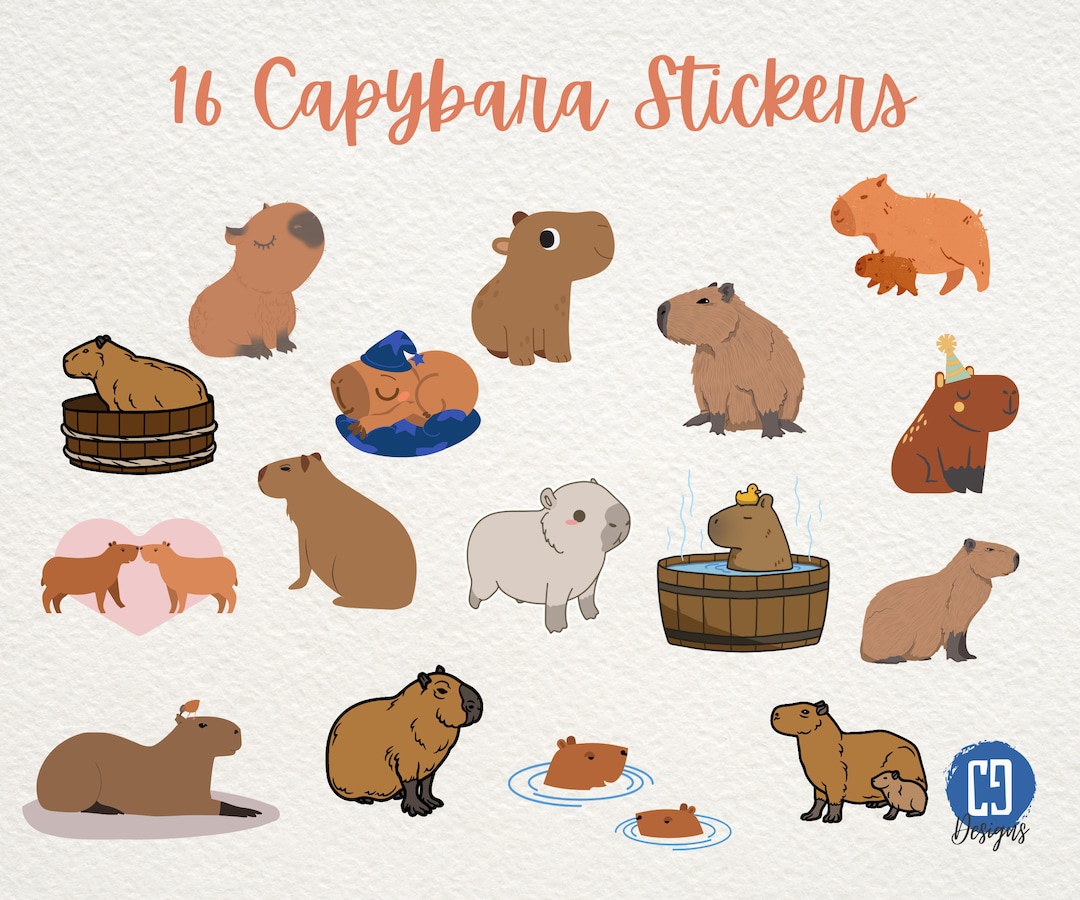 16 Capybara Digital Stickers Capybara Stickers Digital - Etsy