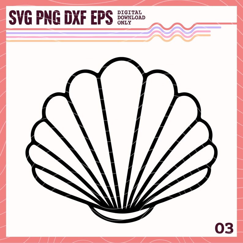 Seashells Bundle SVG PNG, Seashells Vector Image, Seashells Clipart ...
