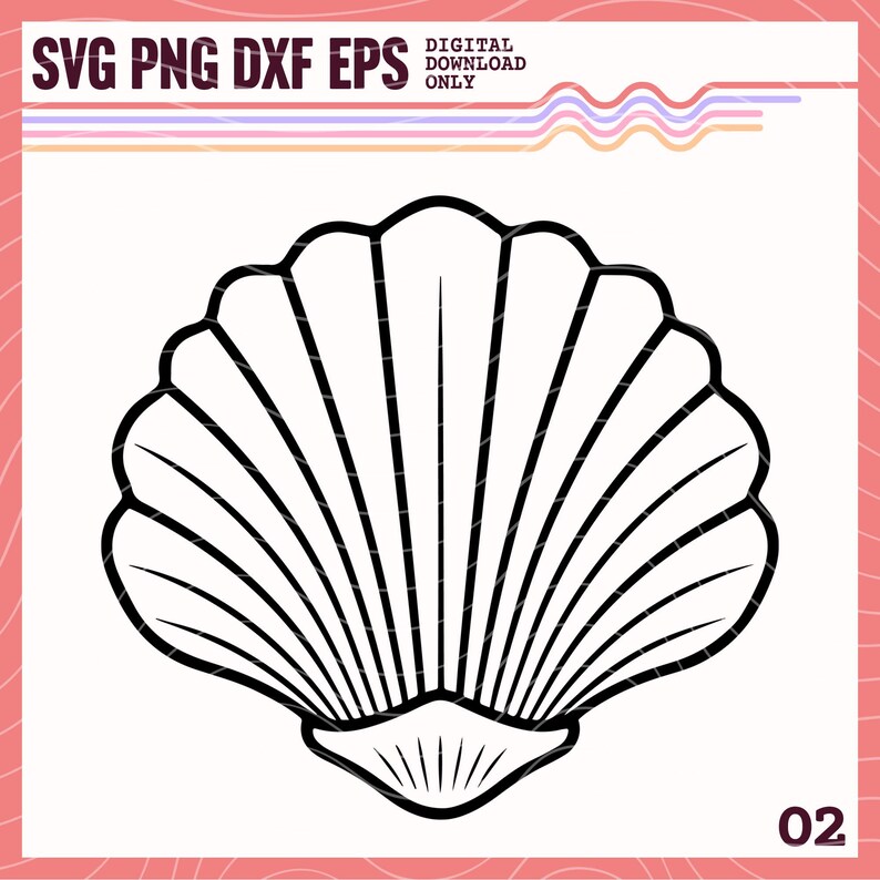 Seashells Bundle SVG PNG, Seashells Vector Image, Seashells Clipart ...