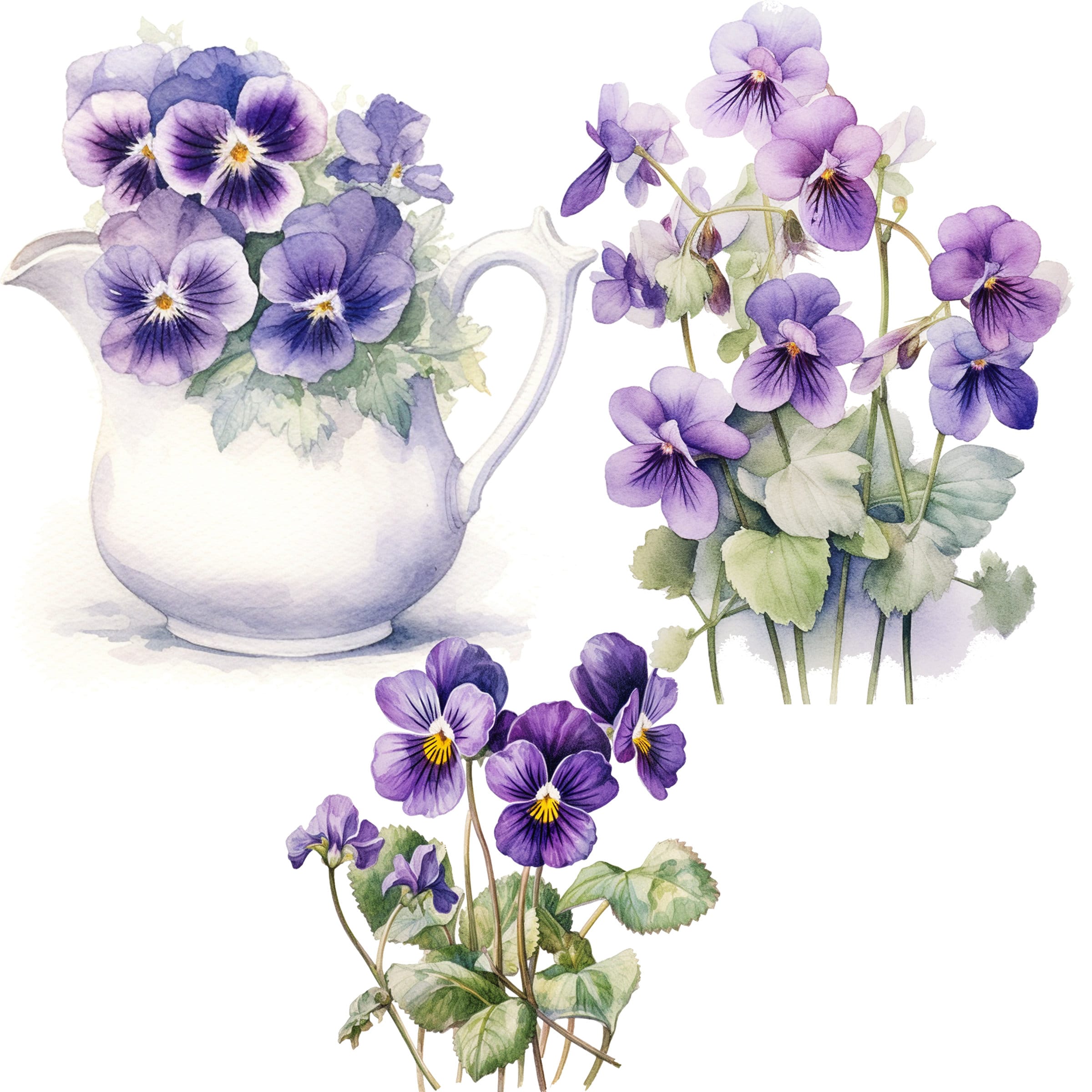 Watercolor Violets 1 18 Transparent PNG, Digital Download, Printable ...