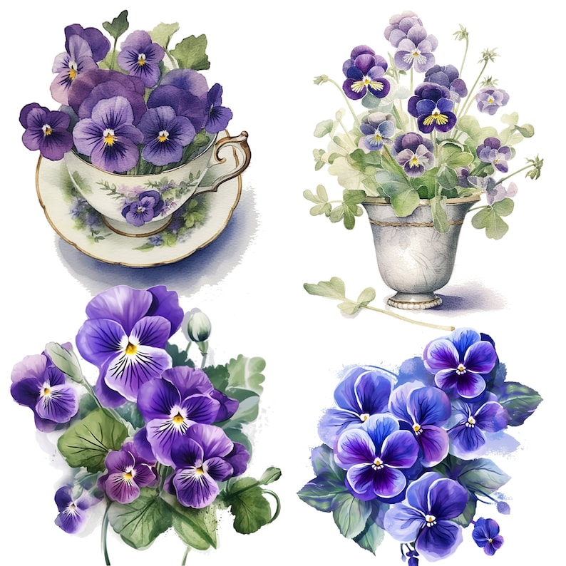 Watercolor Violets (2) 18 Transparent PNG, Digital Download, Printable ...