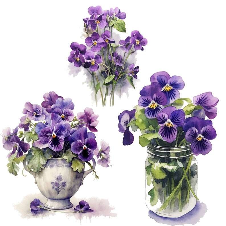 Watercolor Violets (2) 18 Transparent PNG, Digital Download, Printable ...