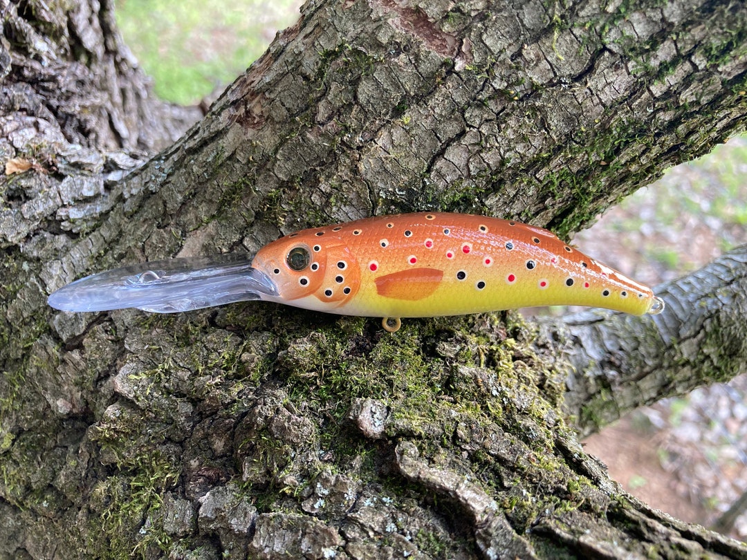 The Brown Trout Custom Hand Painted Rattling Deep Diving Crankbait ...