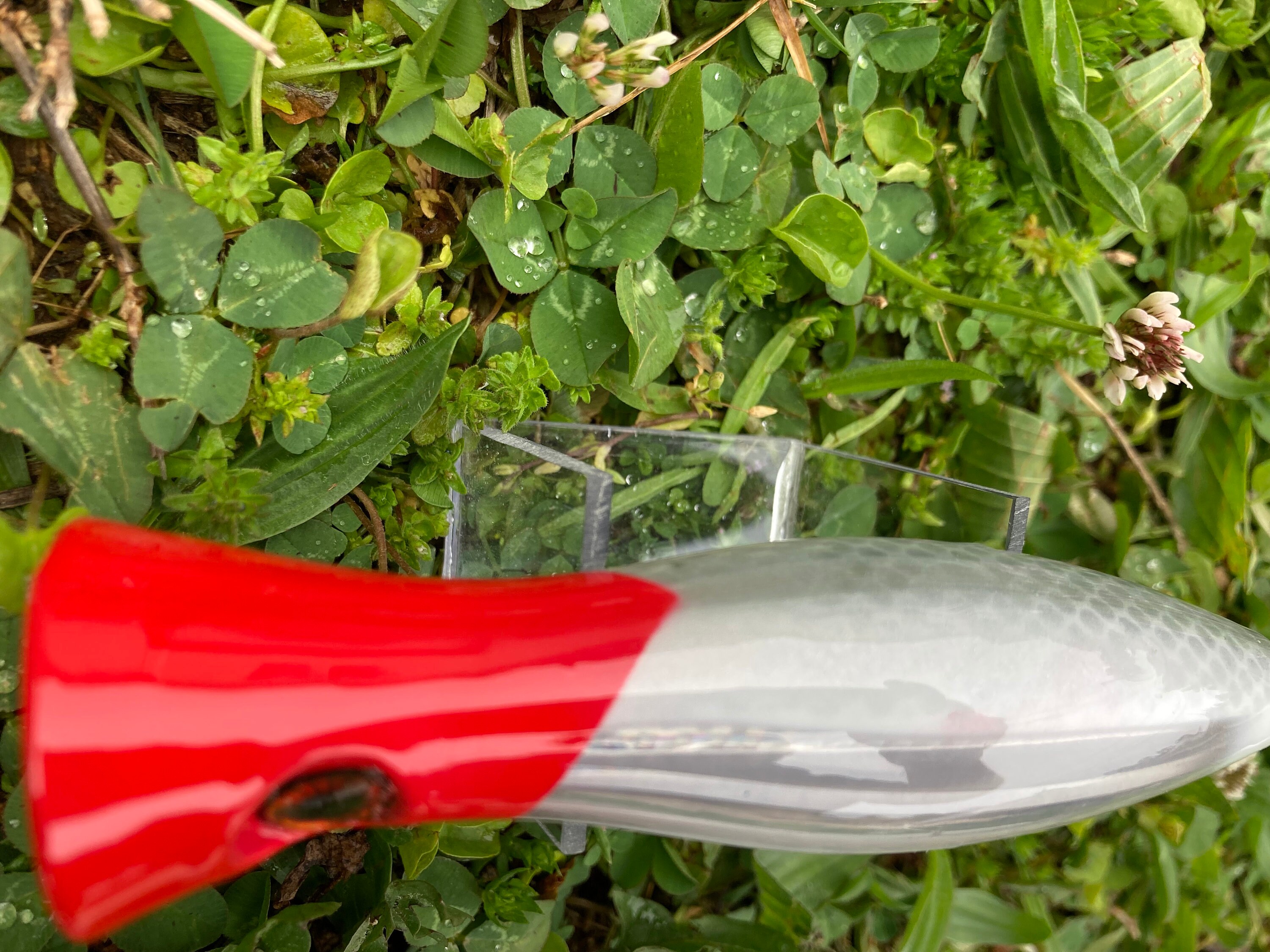 The Giant Red Head Popper Custom Hand Painted Popper Top Water Hard ...