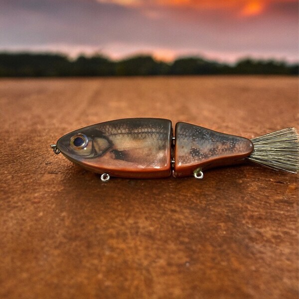 Custom Fishing Lure - Etsy