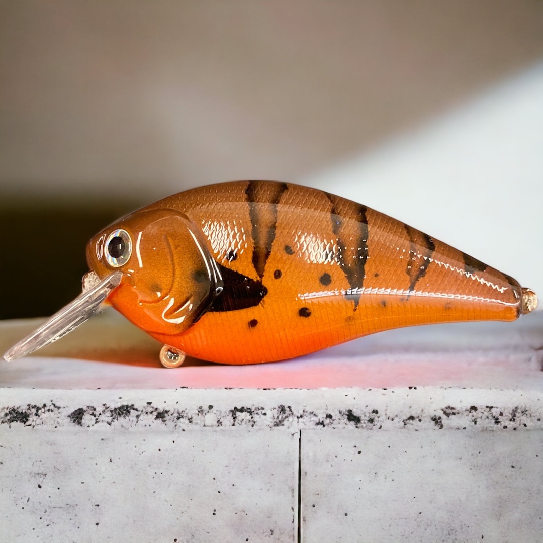 Custom Fishing Lure Hand Painted Rattling Square Bill Crankbait Fishing ...